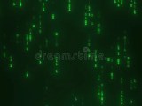 The Matrix Style Binary Code Seamless Loop Stock Footage Video Of
