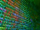Php Development Software Site Code Software Developer Programming