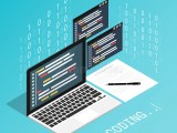Programmer Coding Binary Computer Programmer Skill Isometric Vector