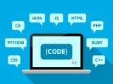 Python Programming Developer Stock Illustrations 1 303 Python