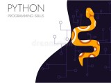 Python Code Language Sign Programming Coding And Developing Concept