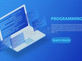 Software Development And Programming Program Code On Laptop Screen