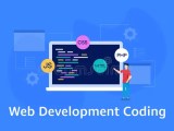 Young Web Developer Analyzing Website Software Application Coding And