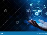 Api Application Programming Interface Function And Procedure
