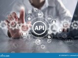 Api Application Programming Interface Software Development Stock