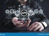 Api Application Programming Interface Software Development Stock