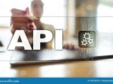 Api Application Programming Interface Development Technology Concept