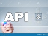 Api Application Programming Interface Function And Procedure