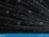 Binary Code Abstract Technology Background Big Data Coding Or Hacker