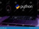 Python Programming Language Logo