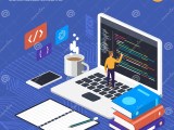 Flat Design Concept Programmer Coding Program Vector Illustrate Stock