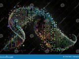 Genetic Programming Algorithm Generating Solutions To Complex Problem