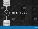 Git Pull Request Blingnet