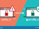 Http And Https Protocols Stock Vector Illustration Of Network 196237752
