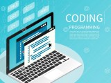 Programmer Coding Binary Computer Isometric Flat Vector Stock Vector