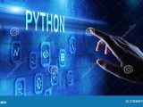 Python Programming Developer Royalty Free Stock Image Cartoondealer