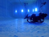 Our Dataset Rov6d Can Be Found In The Baidunetdisk