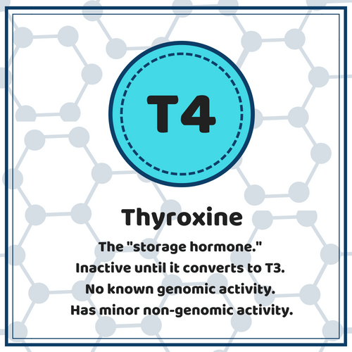 Interpreting Free T3 and Free T4 in therapy – Thyroid Patients Canada