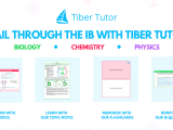 Ib Physics Ia Examples Tiber Tutor
