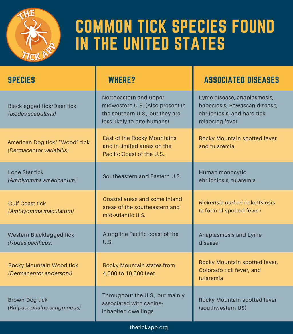 Ticks FAQ - The Tick App