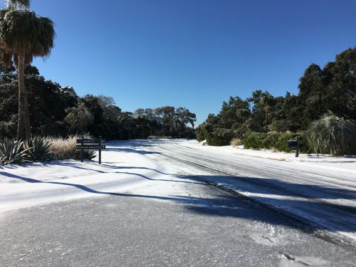 Seabrook Winter Weather Pictures (2 of 4) – Tidelines