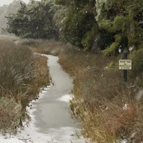 Seabrook Winter Weather Pictures (2 of 4) – Tidelines