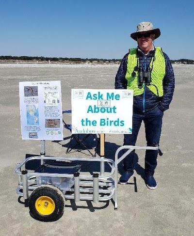 Seabrook Island Shorebird Stewards Return to the Beach! – Tidelines