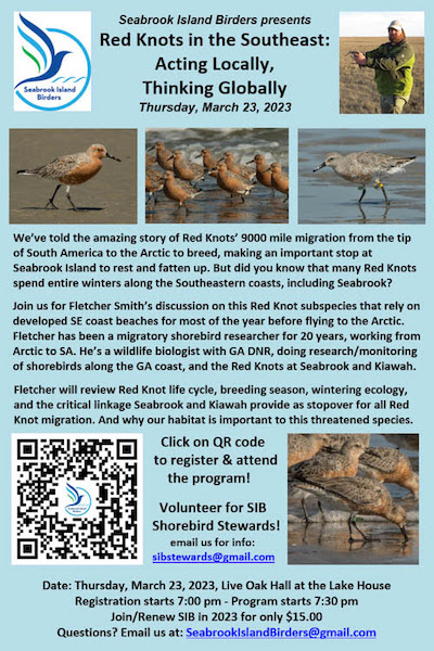 Red Knots in the Southeast US: Acting Locally, Thinking Globally ...