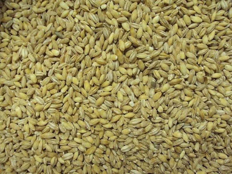 Eurital Gerste 2,5 kg: Das ideale Einzelfuttermittel für Vögel