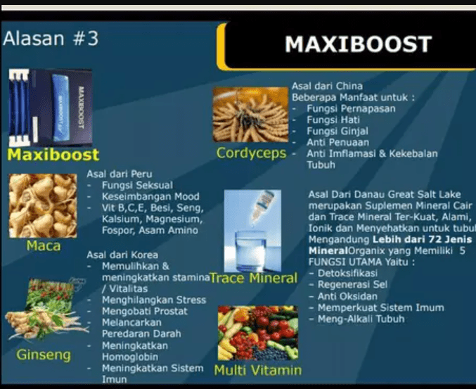 Maxiboost Suplement Kejantanan Pria – Suplemen Herbal Kesehatan