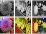 Colorful Image Colorization In Pytorch Timo Nicolai