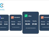 Clockify Pricing Alternatives More 2023