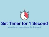 Set Timer For 1 Second Timer Now
