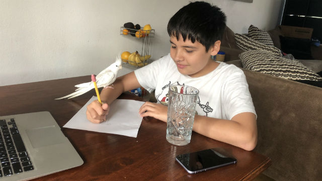 Opinion: Teachers Will Need to Embrace Distance Learning After COVID-19 ...