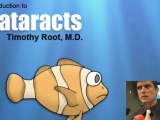 Cataract Presentation Video Timroot