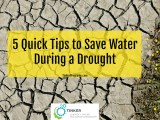 5 Quick Tips To Save Water During A Drought Tinker