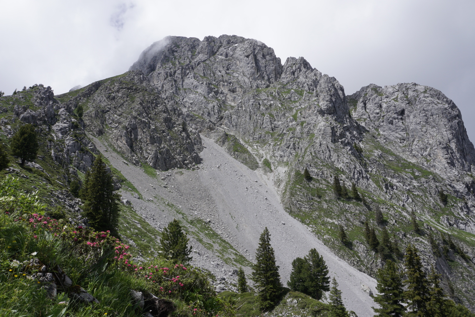 Via Alpina – second half – Tinkle Hikes