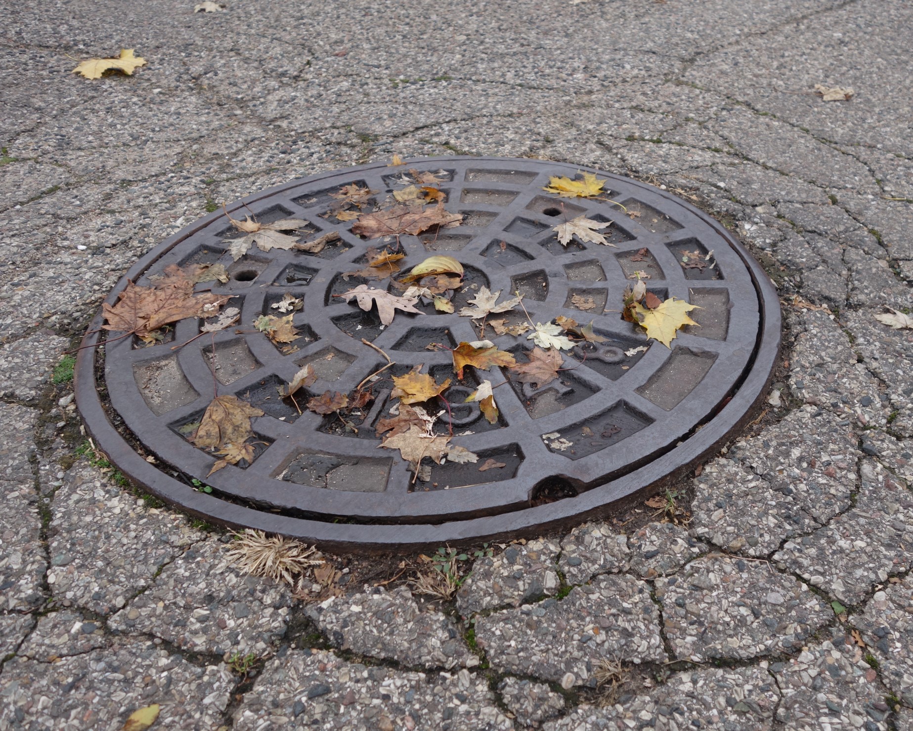 The Grand River’s Cul-de-sac – Tiny Seed Literary Journal