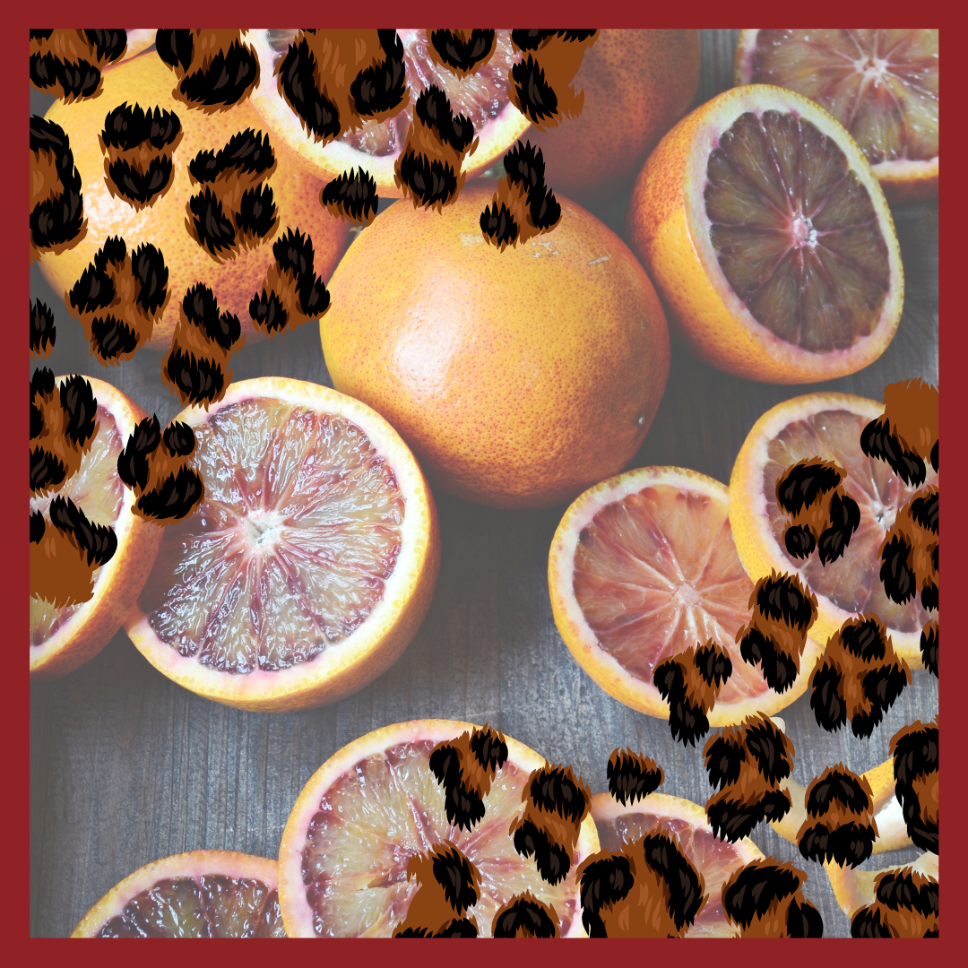 December 2021 Box - Tipsy Pixie Box