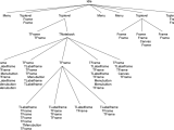 Tkdocs Tutorial Tk Concepts