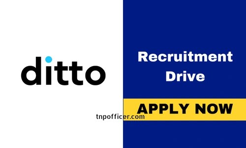Ditto off campus drive 2023 for Manager