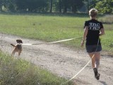 Master Dog Trainer Program