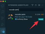 Vs Code Pets