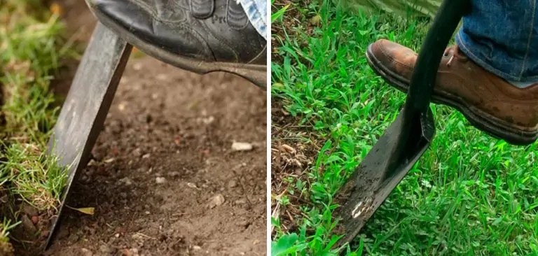 How to Edge with a Shovel | 10 Effective Methods (2026)