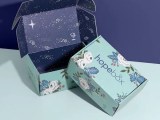 Design Print Custom Mailer Boxes Mailer Packaging Boxes