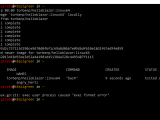 Docker Blazor App On Linux Arm Torben Pedersentorben Pedersen