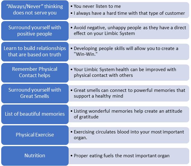 Creating Power by Understanding Your Brain - Touch Stone Publishers LTD