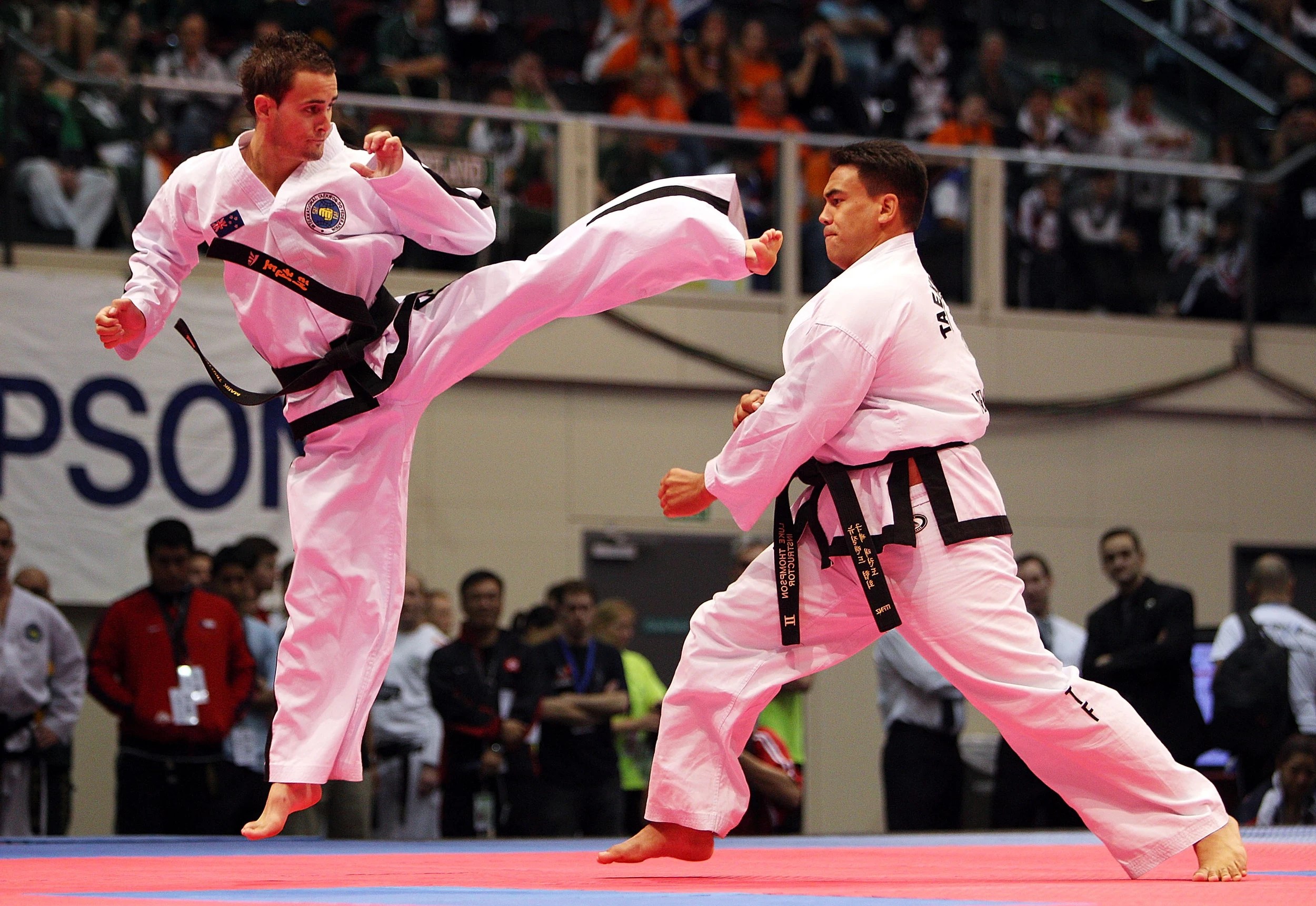 The Most Ruthless Taekwondo Fight You Will Ever See Video