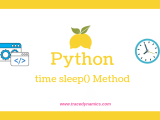 Sleep Python Method Tracedynamics