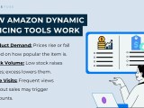 Smart Dynamic Pricing Tools Tracefuse